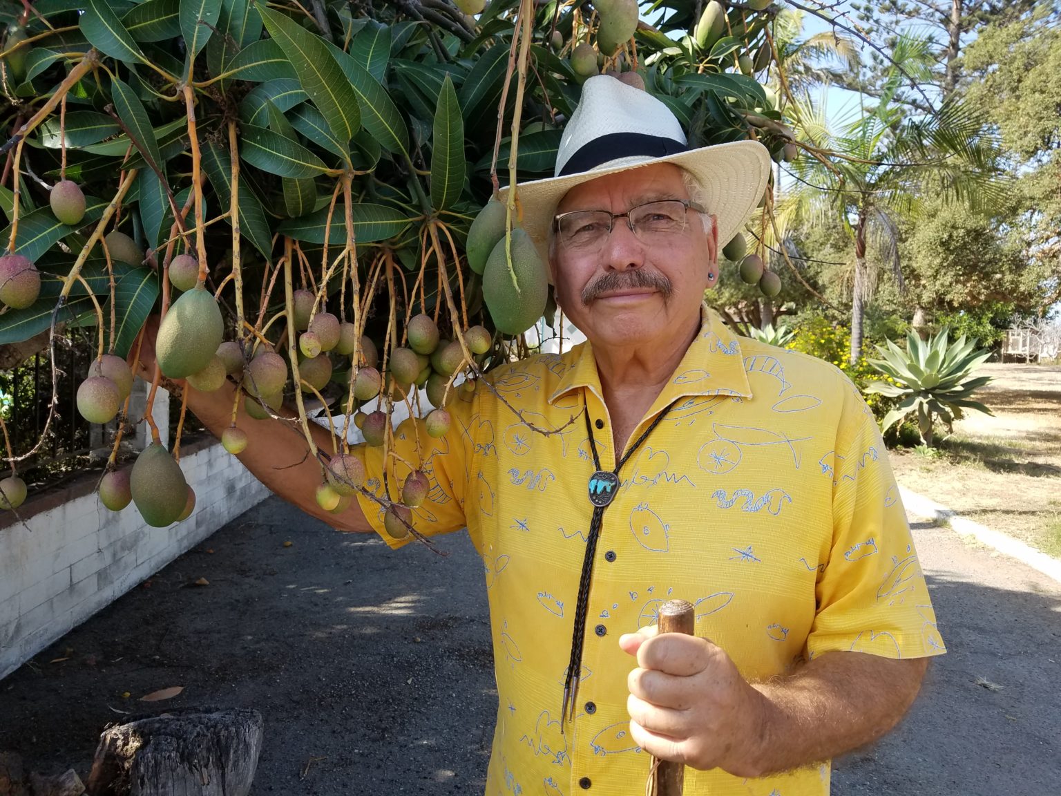 The Snow Goose Global Thanksgiving: Acclaimed Author Victor Villaseñor ...